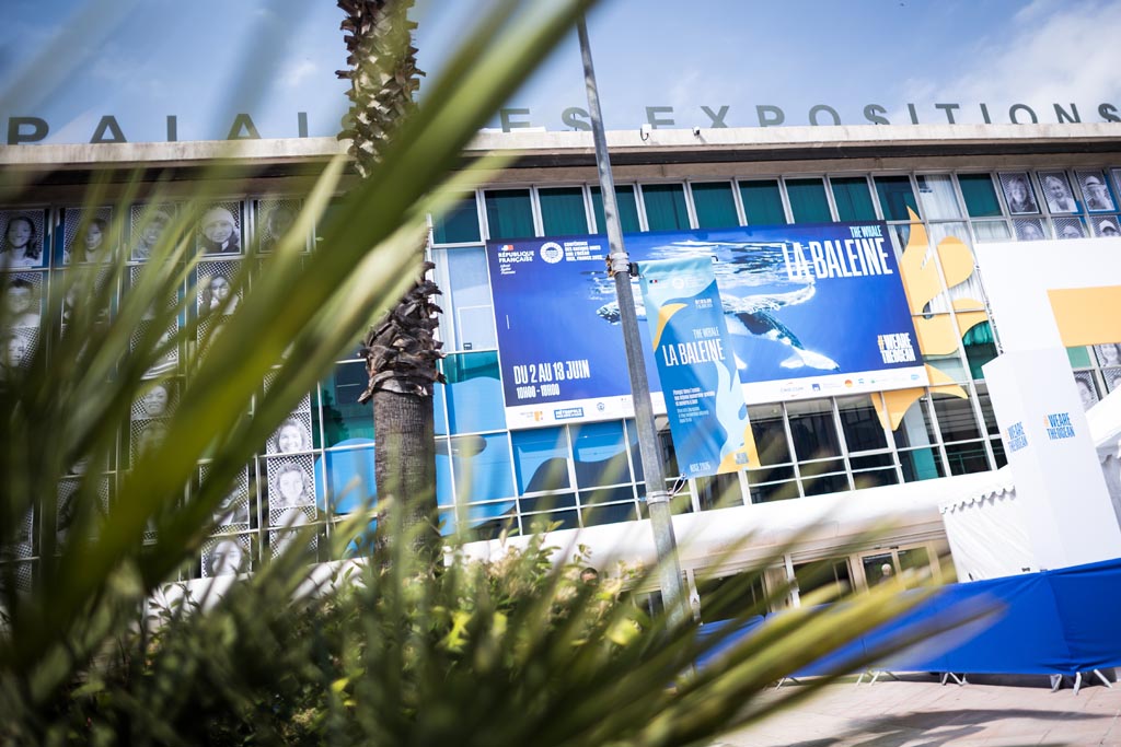 UNOC Nice 2025 - La Baleine